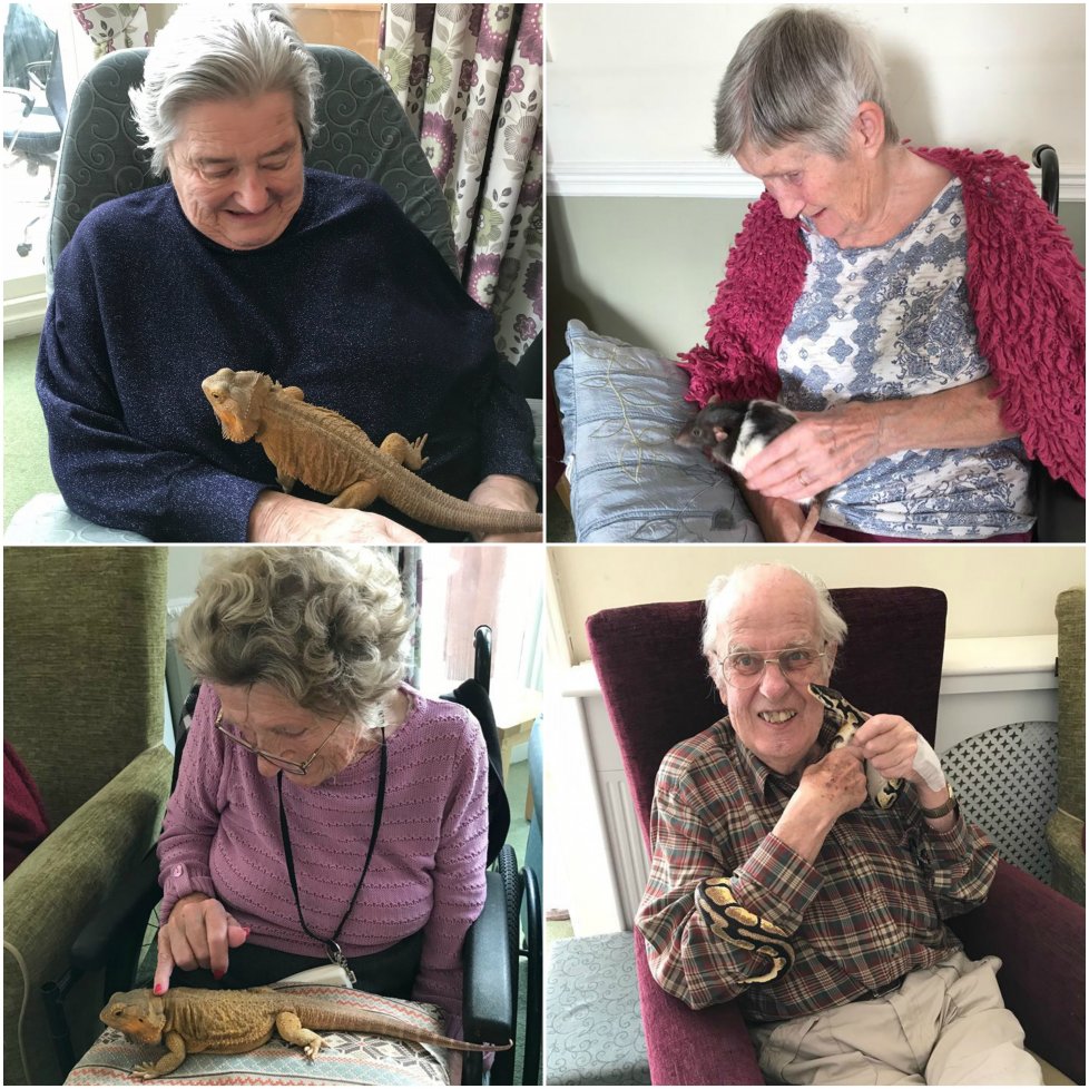 Care Home Hampshire News | Zoolab Visit to Allenbrook